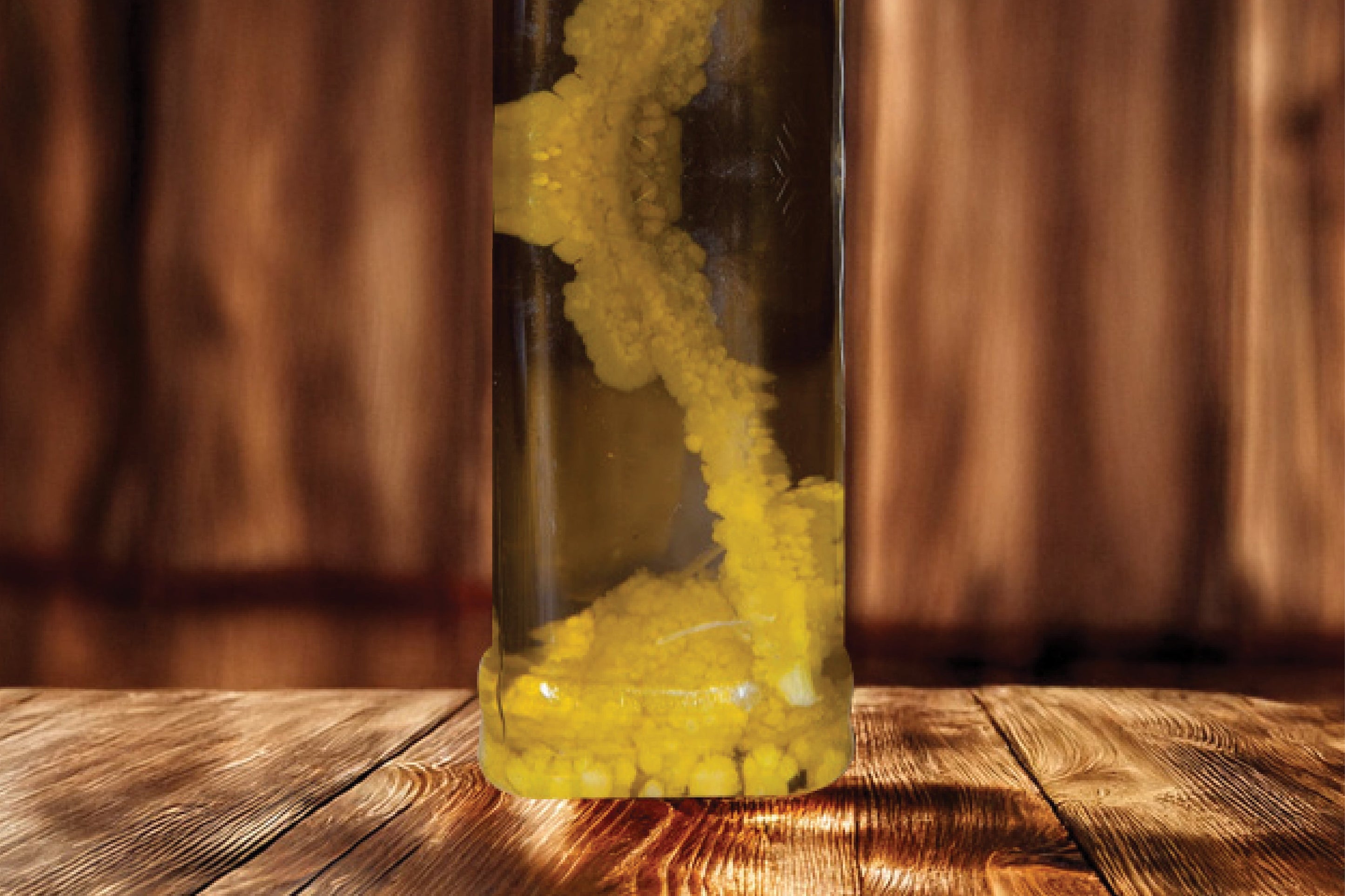 Why Does My Olive Oil Look Cloudy or Have White Chunks? – Terra Delyssa ...